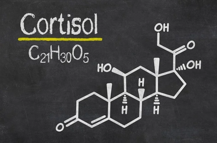 Manage Cortisol With Naturopathic Medicine And Acupuncture